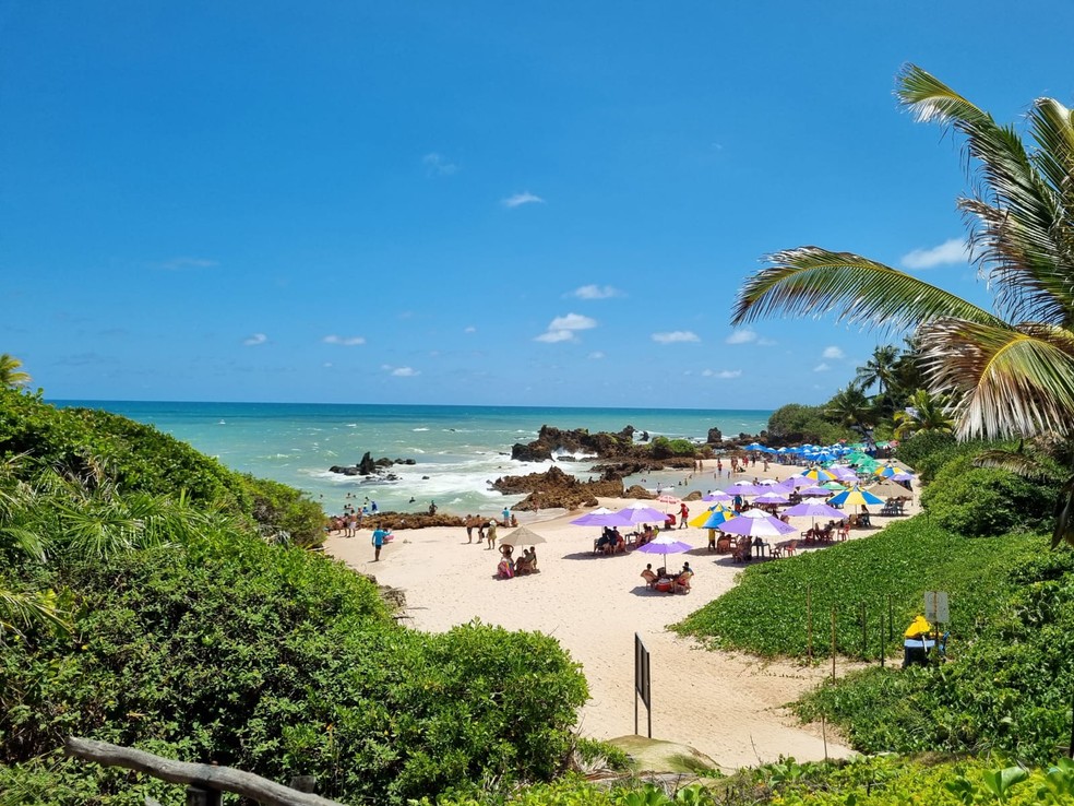 Litoral da Paraíba tem todos os trechos de praias próprios para banho ...